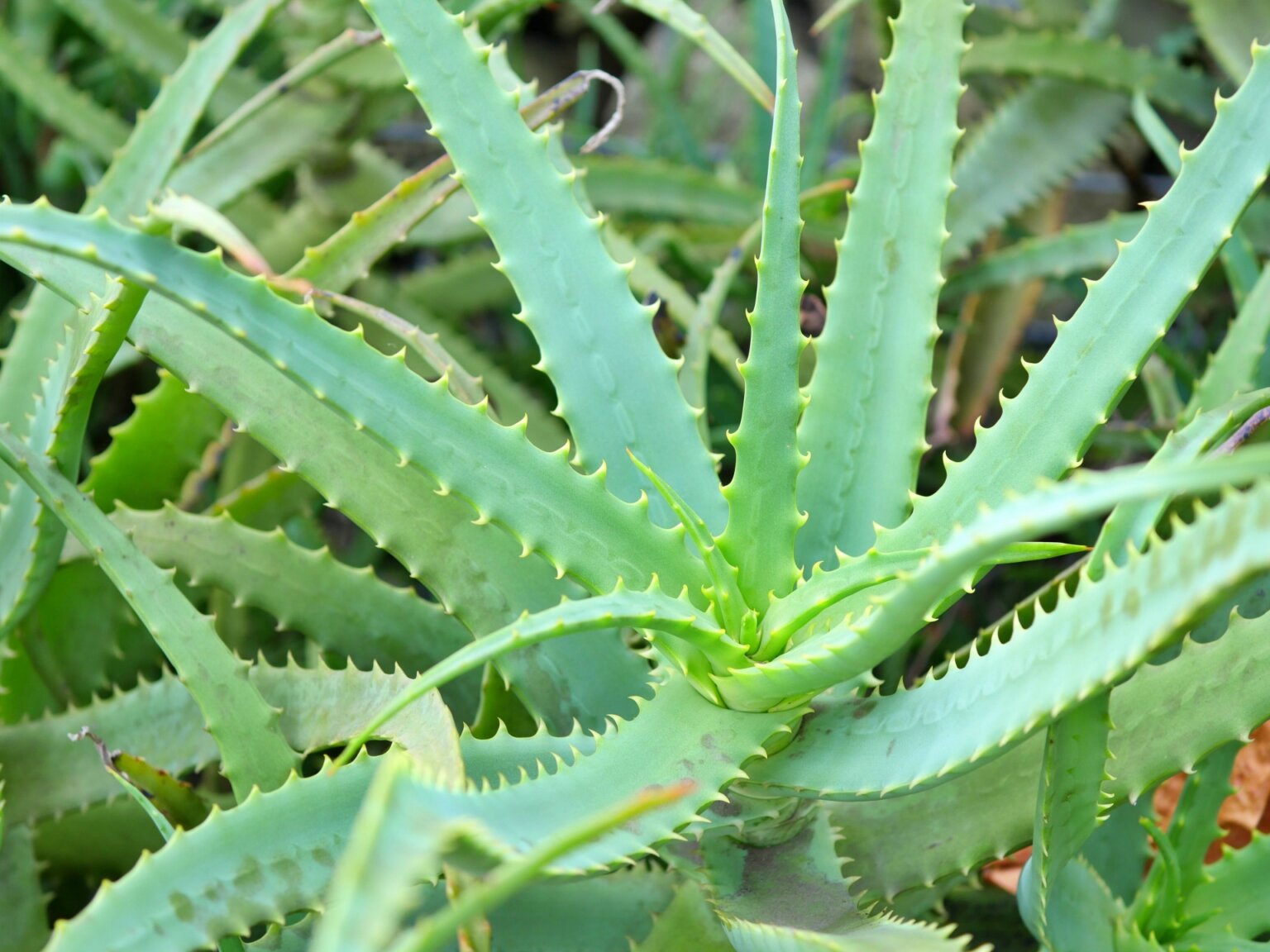 化粧品輸出の基礎知識 規制対応と輸送の注意事項 - N-avigation 最新の物流情報をお届け！