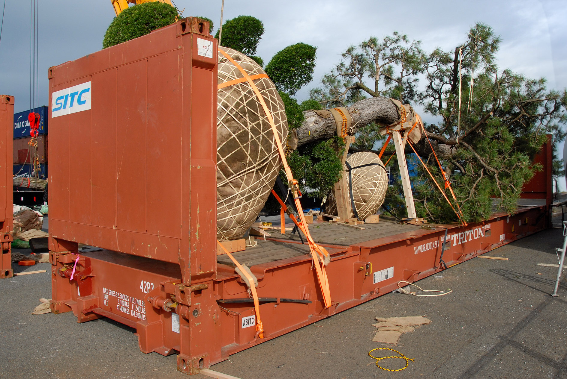 【保存版】海上コンテナ関連コラム 14選 - N-avigation 最新の物流情報をお届け！
